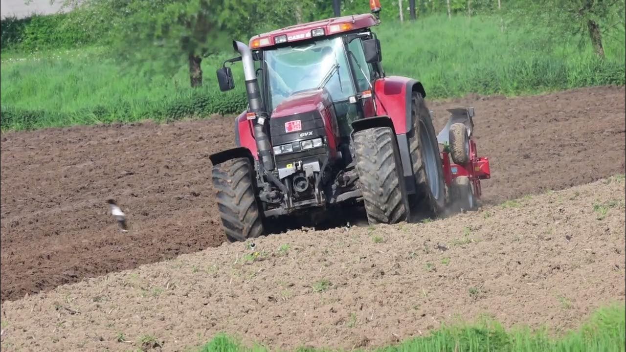 Kievit " de stakker van de akker" ploegen akker. - YouTube