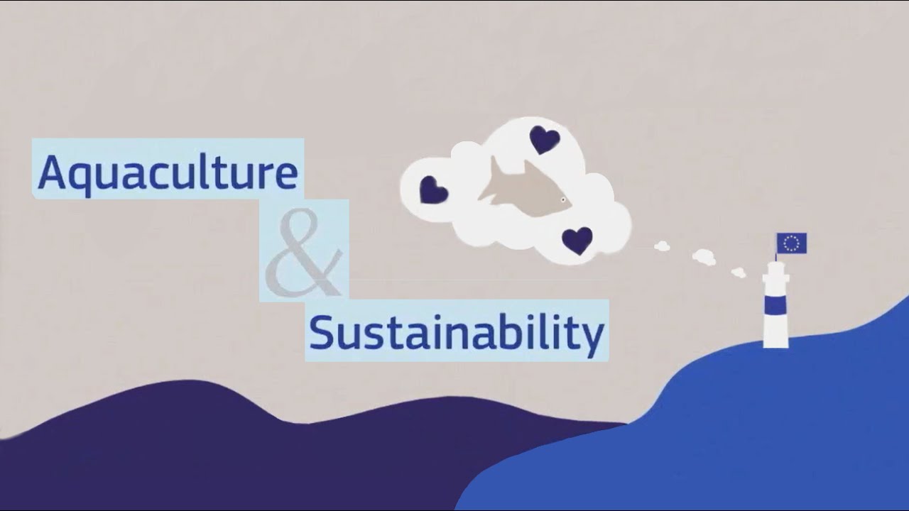 Aquaculture & Sustainability – Science for Environment Policy - YouTube