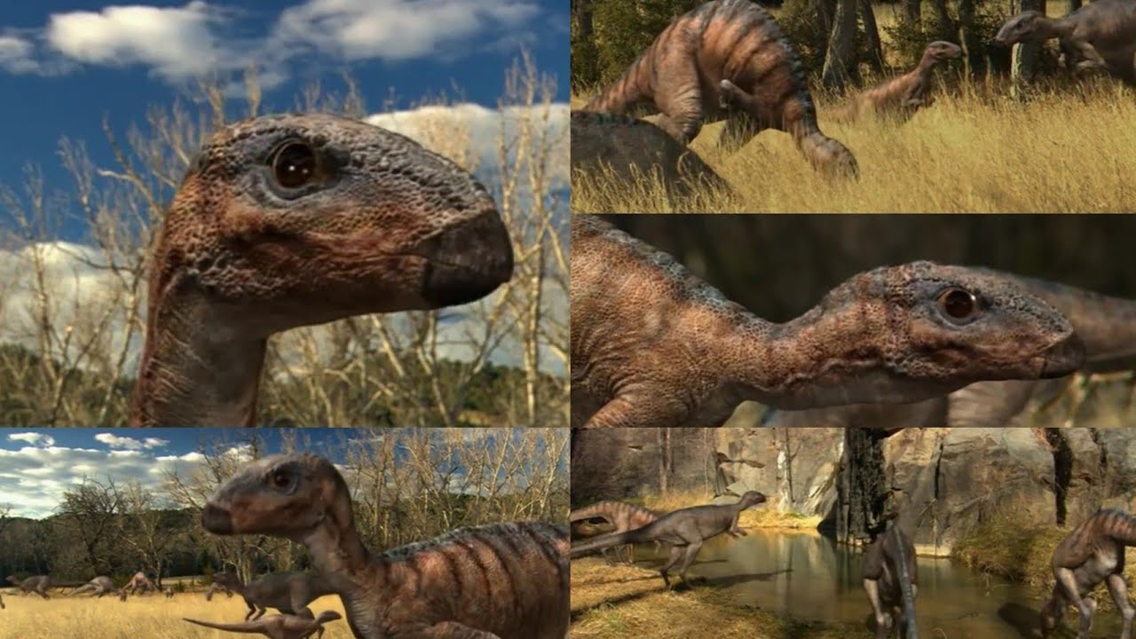 Dinosaur Planet [2003] - Orodromeus Screen Time - YouTube