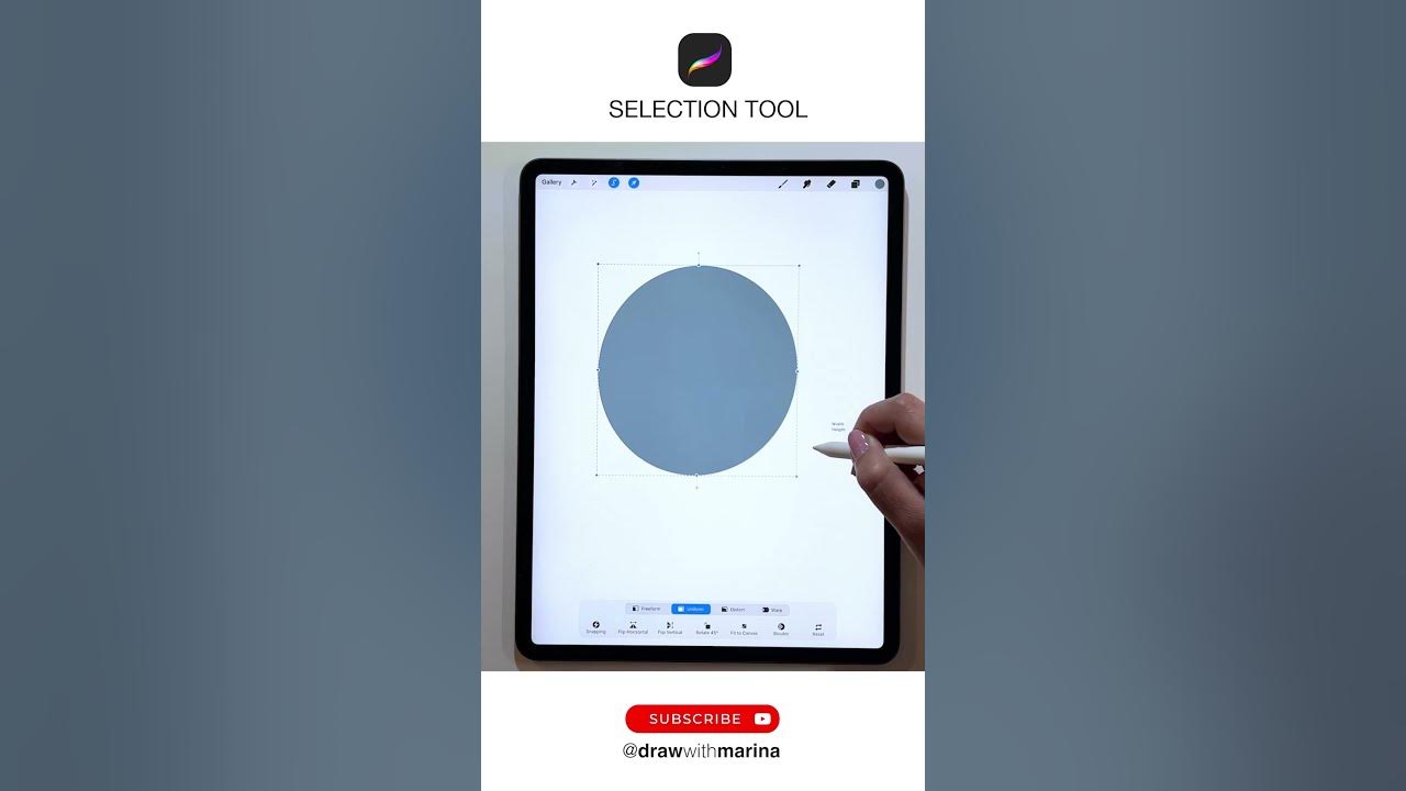 How to Use the Selection Tool in Procreate - YouTube