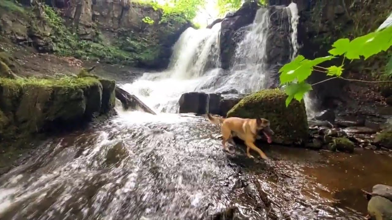 Killoch Glen - Neilston, Near Glasgow. 🏴󠁧󠁢󠁳󠁣󠁴󠁿 - YouTube