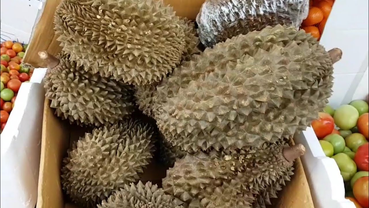 Người buồn, người vui - Hên lãi, xui lõm -Hương Vị Cuộc Sống Cabramatta ...