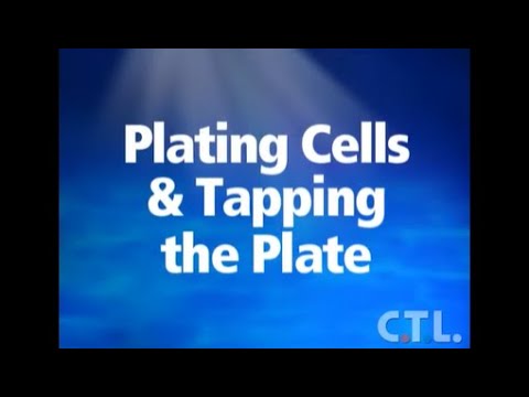 Plating Cells & Tapping the Plate - YouTube