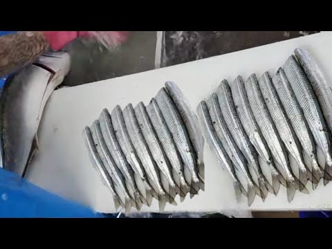 Amazing Fast Cutting Skills | Fish Cutting Very Fast | Fish Cutting ...