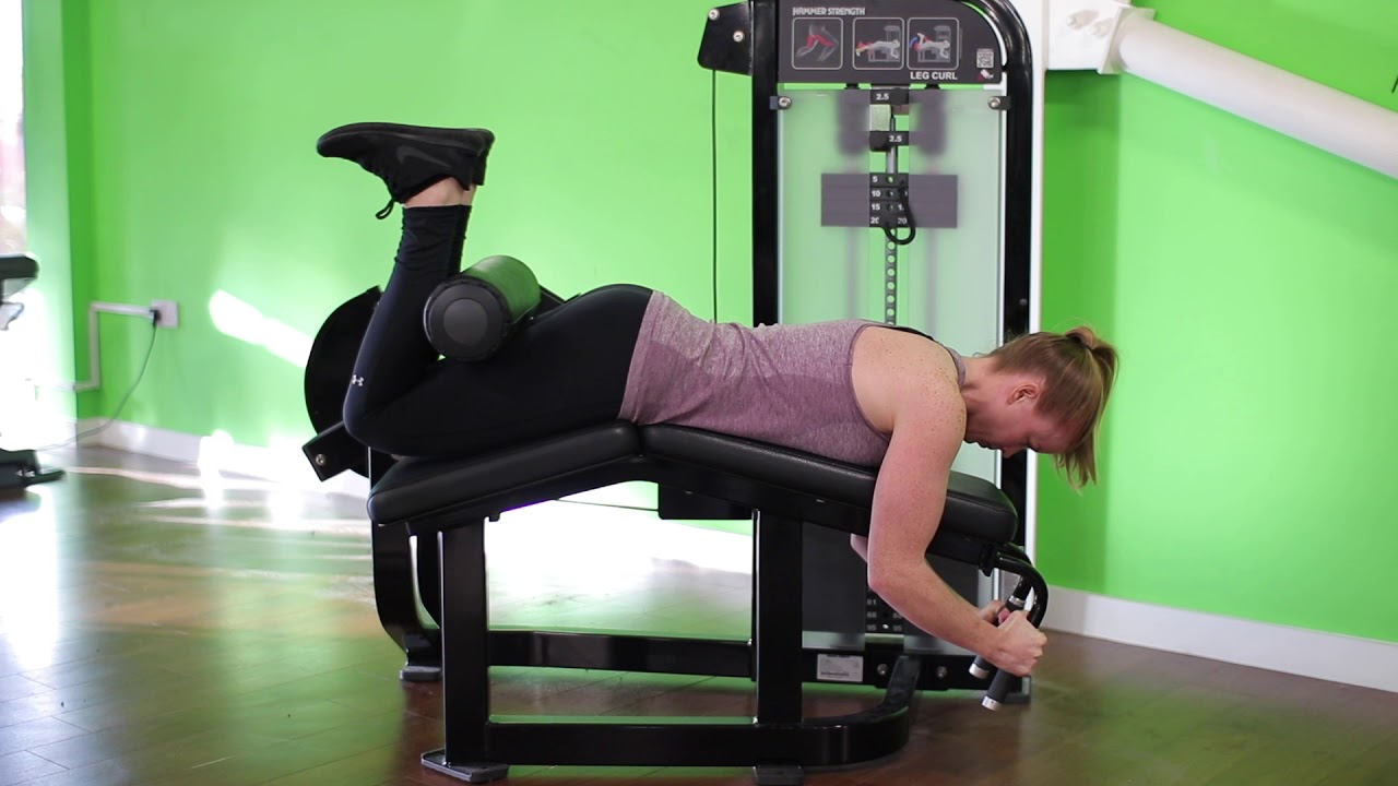 Machine Leg Curl YouTube Machine Leg Curl YouTube