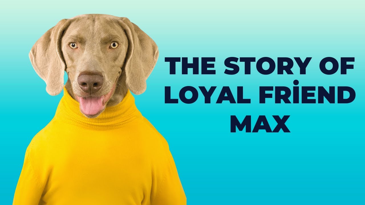 Expert Dog Trainer Shares MAX's Amazing Story! - YouTube