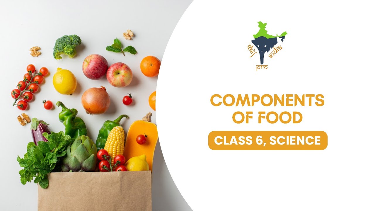 Class 6 Science || Components of food || भोजन के घटक || कक्षा 6 - YouTube