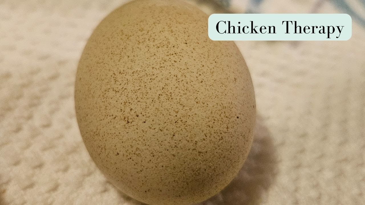 Chicken Therapy - YouTube
