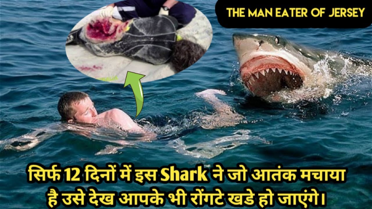 History's Most Dangerous Man Eating Shark । 12 दिन का वह आतंक जिसे पूरी ...