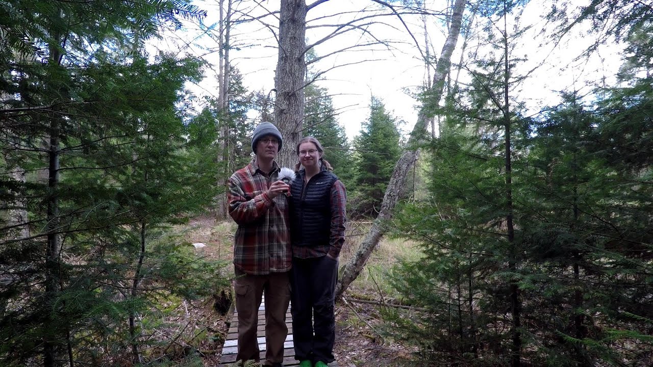 Welcome To Toad Town! - YouTube