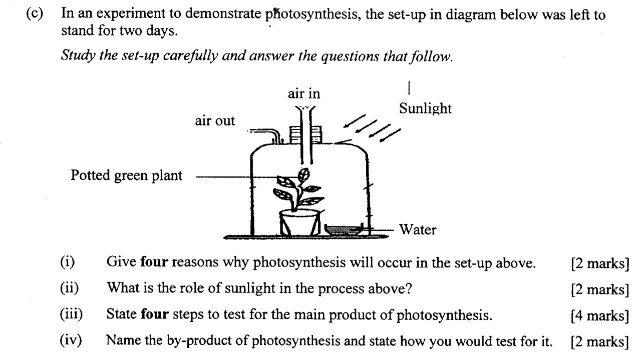 Best Brain Integrated Science PRACTICALS with Sample Questions and ...
