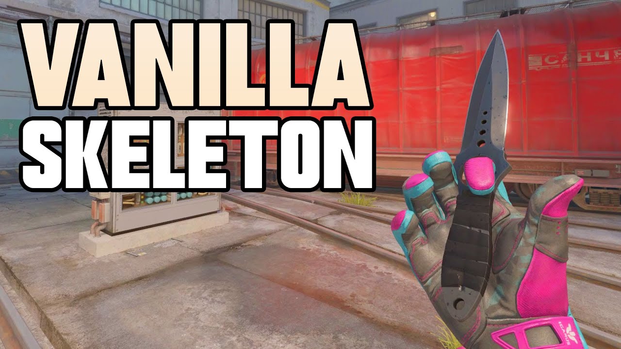 CS2 Vanilla Skeleton Knife (FACTORY NEW) | CS2 Knife Gameplay - YouTube