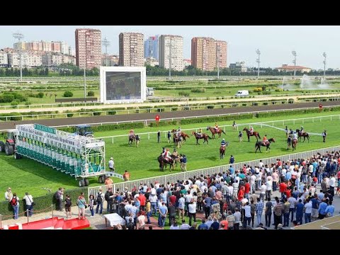 Tjk İstanbul Veliefendi Hipodromu