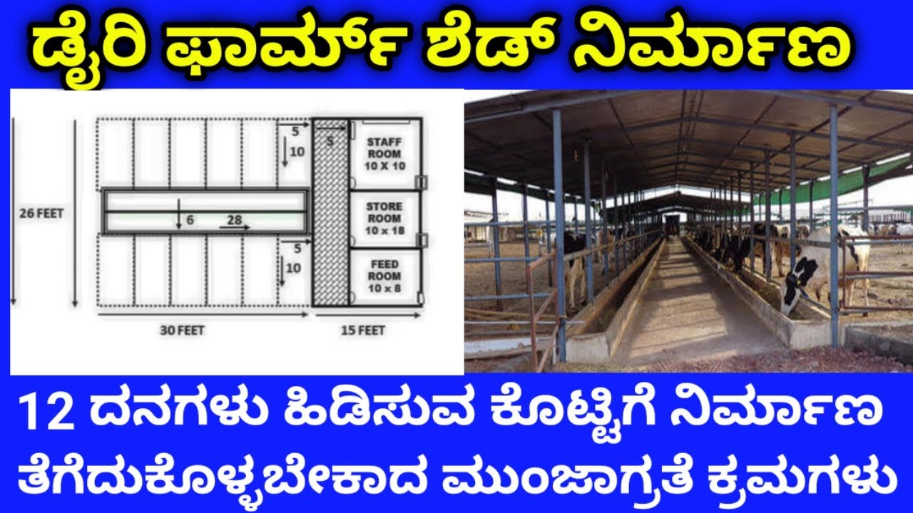 Dairy Farming In Kannada dairy-farming-in-kannada