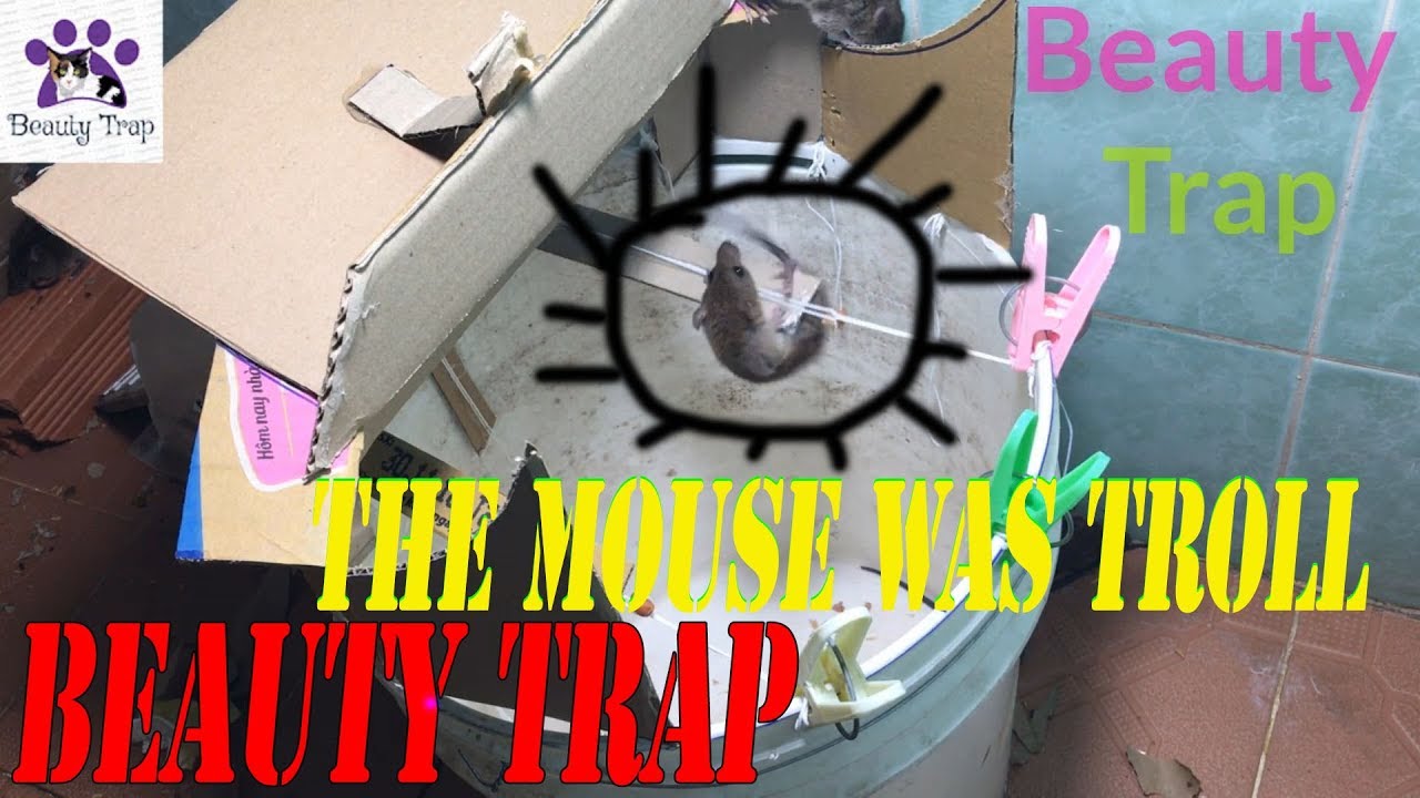 Troll the mouse/Funny mice and how they balance on the rope/Beauty Trap ...