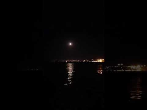 Nigar Muharrem - Omuzunda ağlayan bir sen
