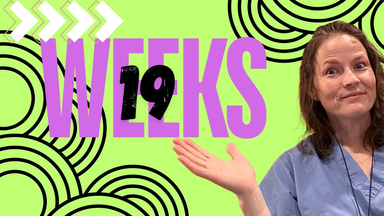 19 weeks | Your Pregnancy - YouTube