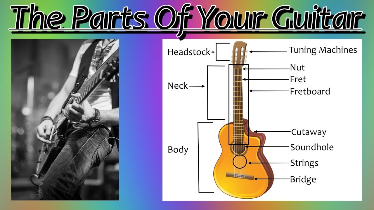 Learn The Parts Of Your Acoustic And Electric Guitar - YouTube