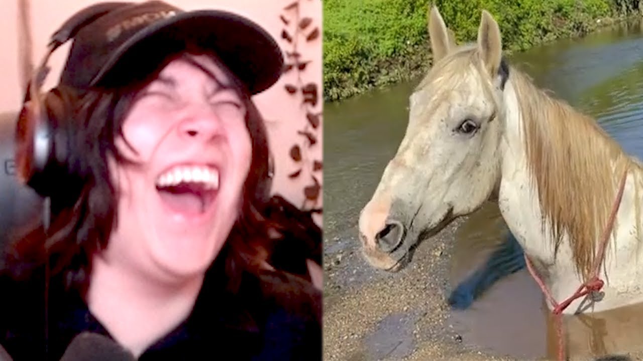 QUACKITY REACCIONA A LOS MEMES DE DISCORD - YouTube