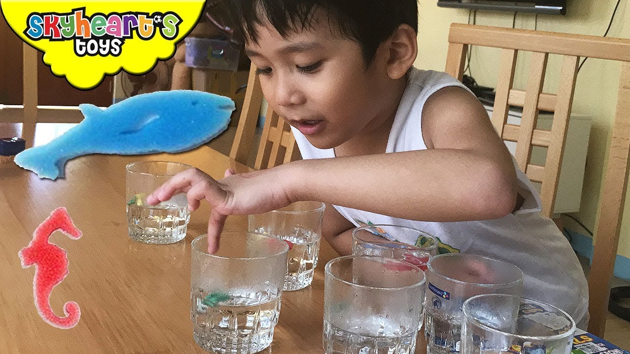 Growing SEA CREATURES Experiment on Water | Transform animal capsules ...