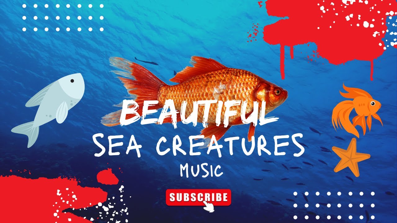 Beautiful Sea Creatures: Meditation Music | Feel The Magic of Nature ...