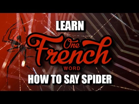Learn one French word - How to say - Spider - YouTube