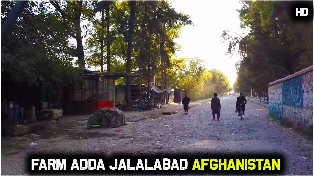 Farm adda Garden | Jalalabad | Afghanistan | 2020 | HD | 1080/60p - YouTube