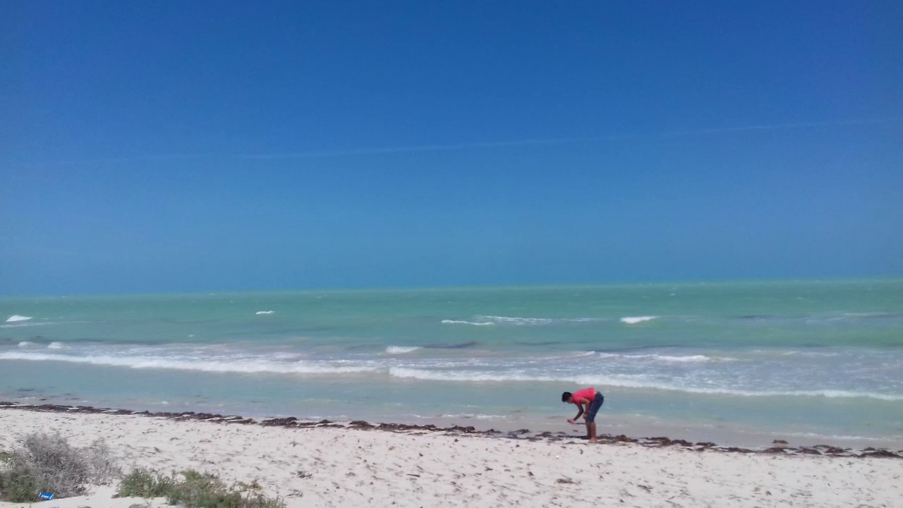 Playa Cancunito .... Río Lagartos - YouTube