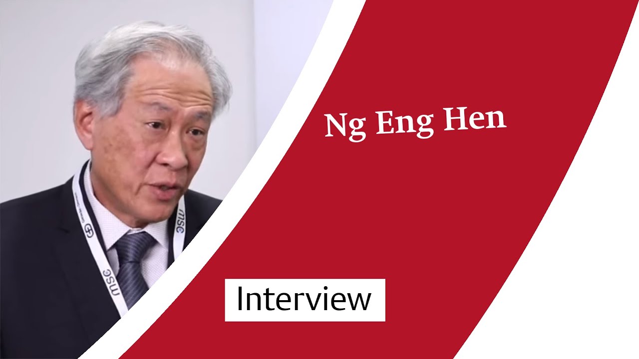Minister Ng Eng Hen about his meeting with the Munich Young Leaders ...