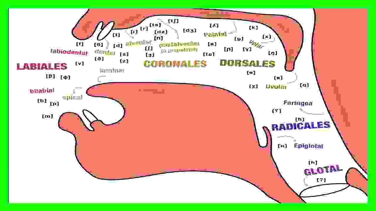 🎙️ El ABC de la Transcripción Fonética: Ejemplos y Explicaciones 🔤 ...