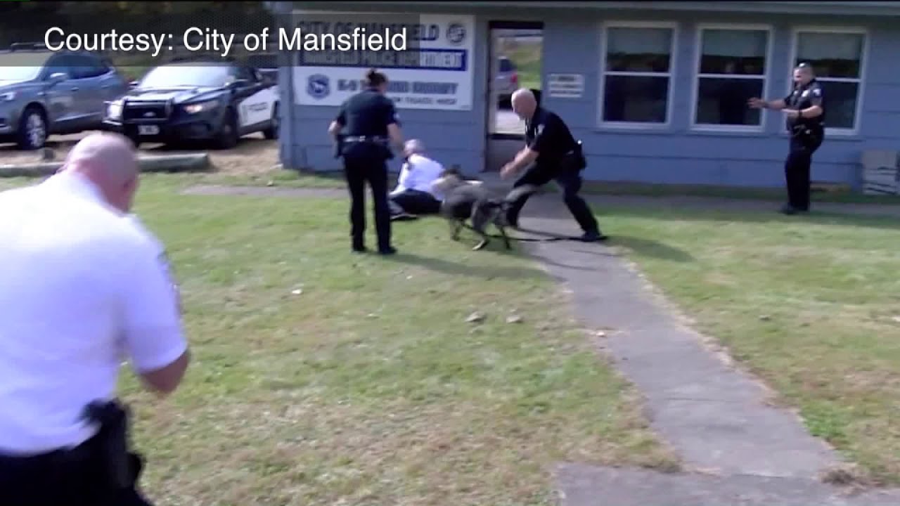 Ohio Mayor Recovering After Police K9 Takedown - YouTube