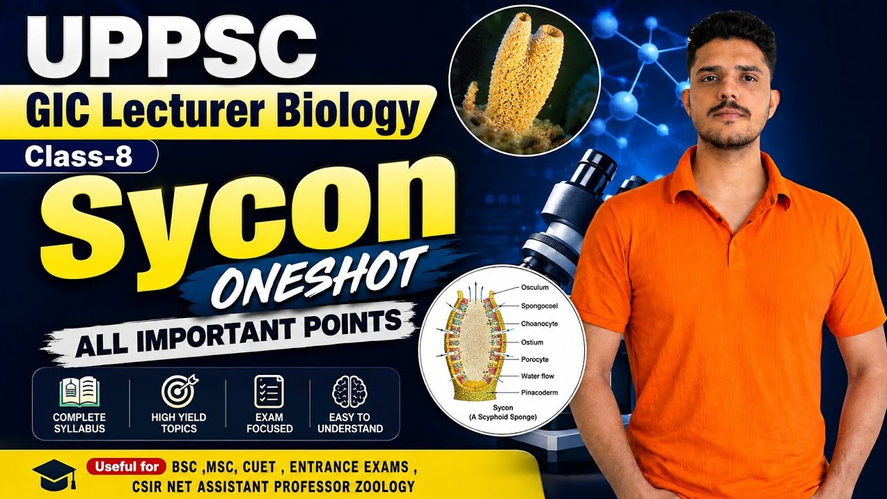 UP GIC lecturer Biology #uppsc / Sycon / Scypha all important points C ...