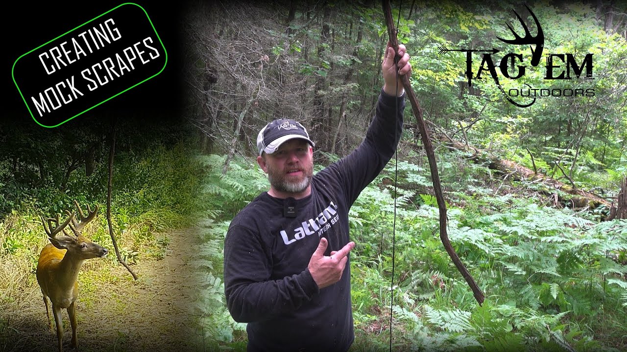 Creating Mock Scrapes That Work! | Summer Tree Stand Preparation - YouTube
