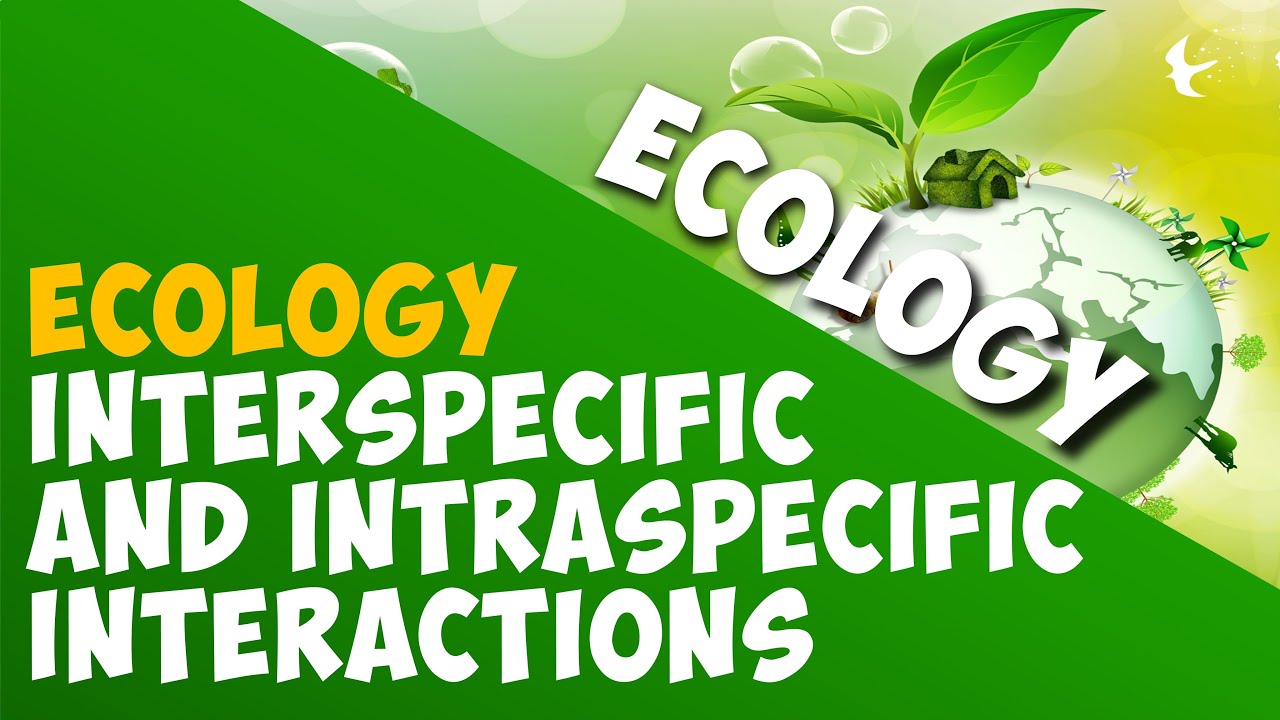 Interspecific and Intraspecific Interactions | Ecology & Environment ...