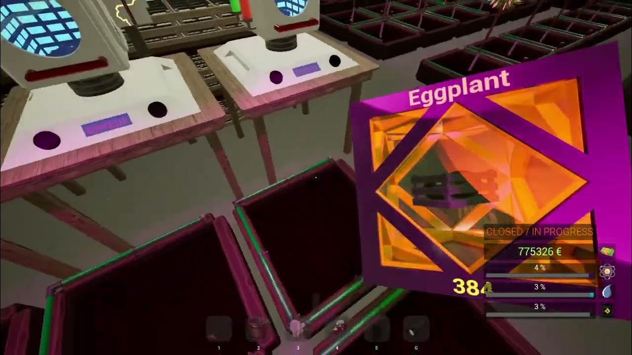 Harvest and ReSeed Eggplants - 2024-11-20 - YouTube