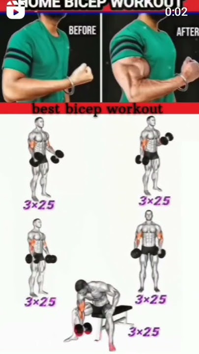Biceps Workout Tipsdo This Excersise To Build Bigger Stronger Biceps