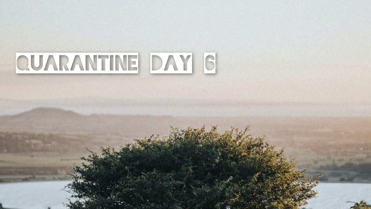 quarantine day six - YouTube