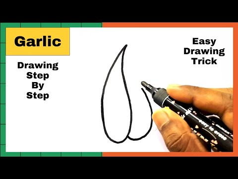 Garlic Drawing Very Easy | How To Draw A Garlic Very Easy | Easy ...