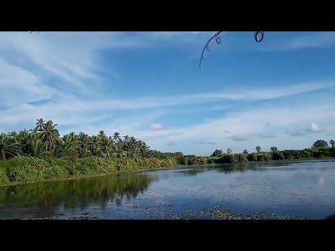 MANCING AMBYAR ASYIK2 CASTING DI DANAU MALAH KETEMU CEWEK CEWEK LAGI MANDI