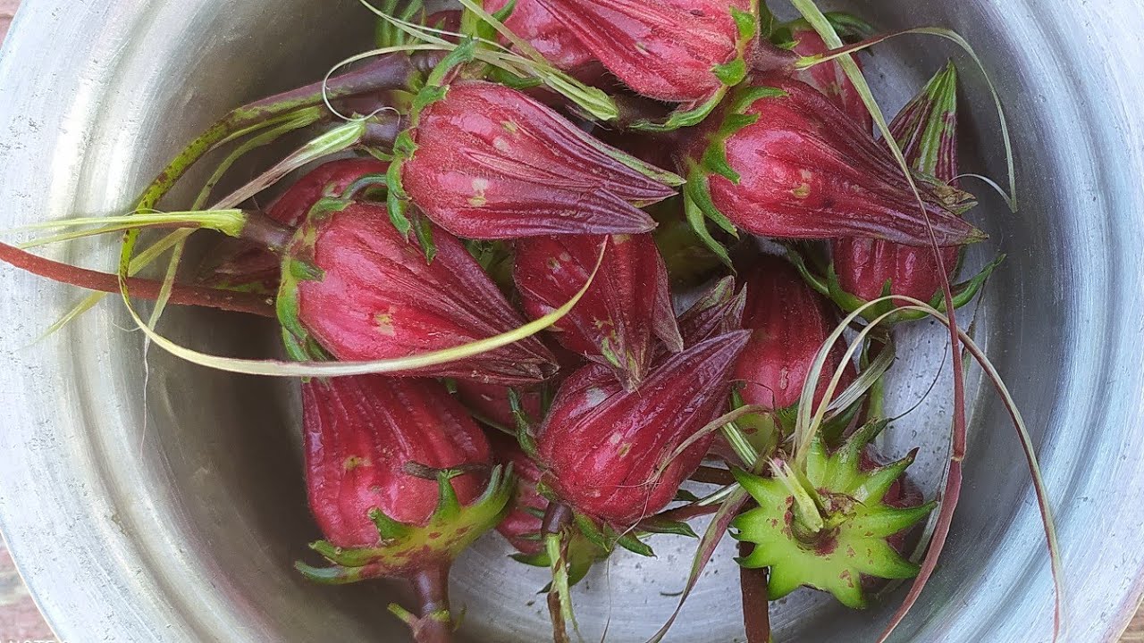 Village style tokfol recipe / chukai foler tok @Amrit_ak_iduniya - YouTube