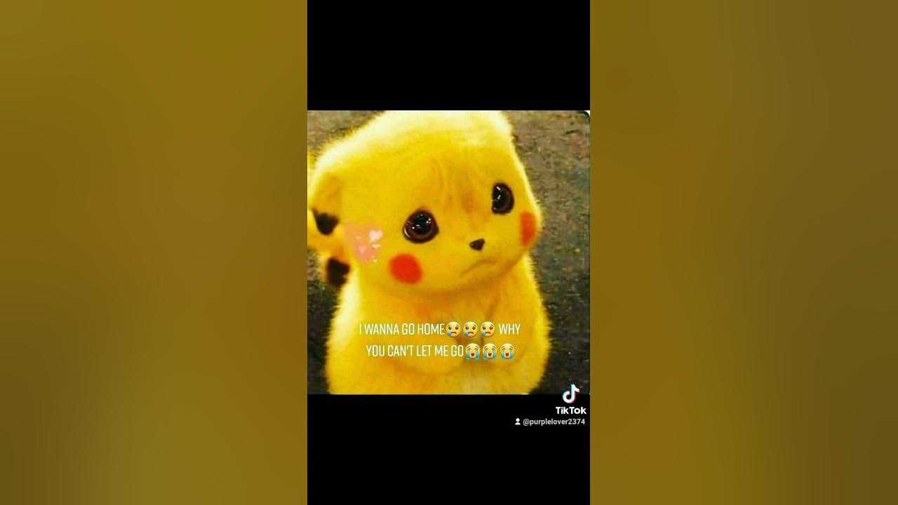 I Wanna Go Home YouTube i-wanna-go-home-youtube