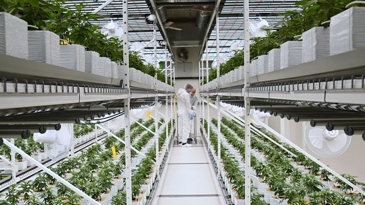 Indoor Vertical Farming: The Future of Agriculture 🌱 - YouTube