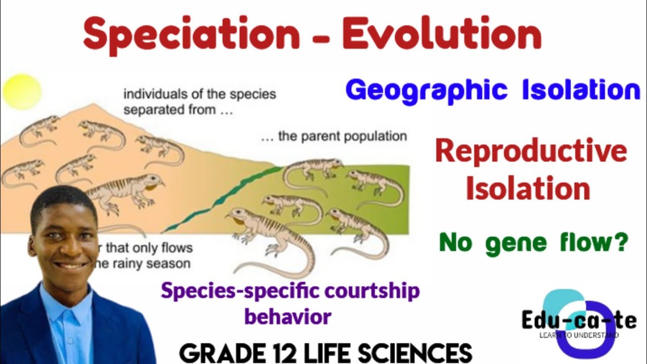 Speciation by Geographic & Reproduction isolation - Grade 12 Life ...
