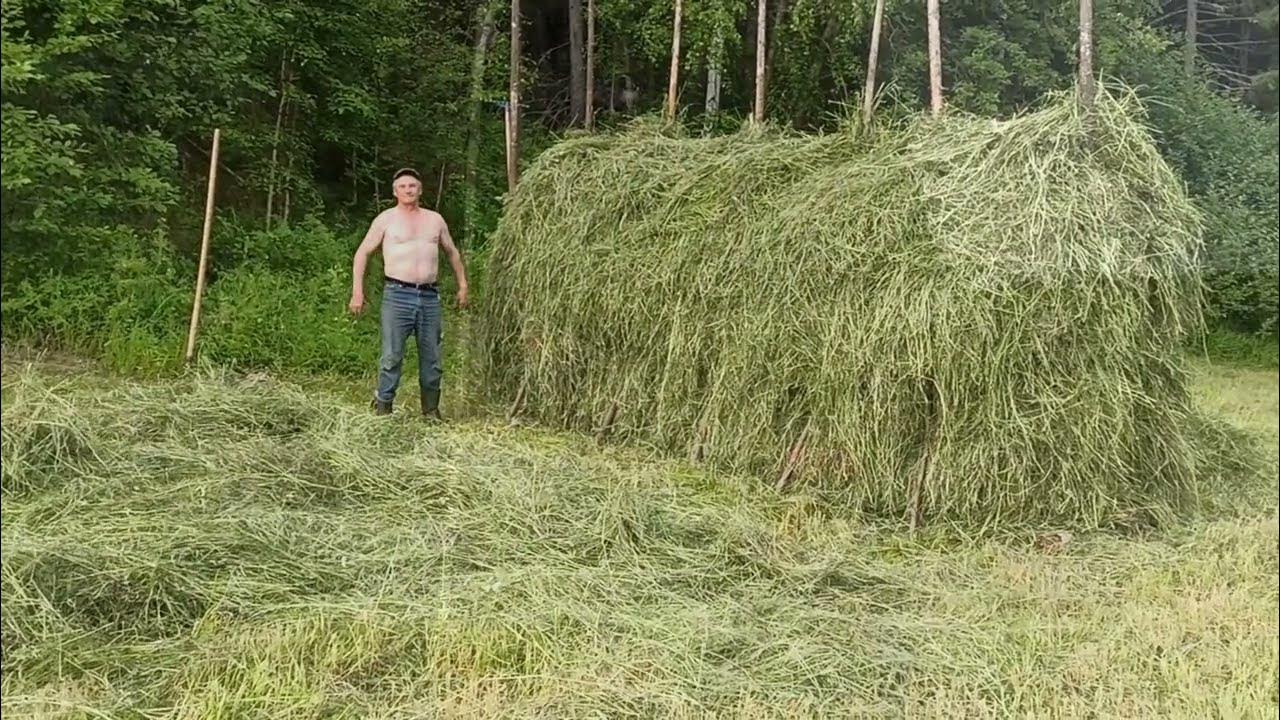 Сенокос 2021 - YouTube