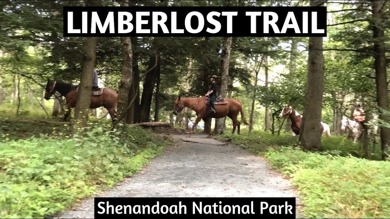 Limberlost Hiking Trail - YouTube