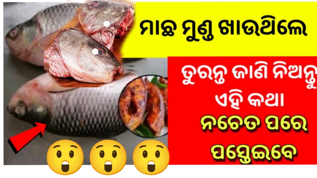 benifit of fish । machha khaiba dyara kana sabu labha mile / lessonable ...