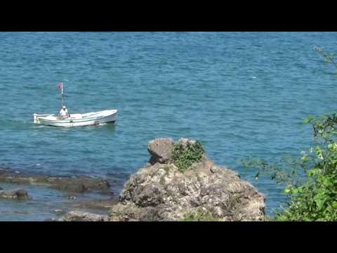 BİR YAZ GÜNÜ ÜNYE