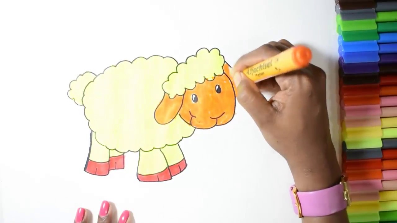 HOW TO DRAW A SHEEP | CARTOON SHEEP DRAWING FOR KIDS | EASY SHEEP ...
