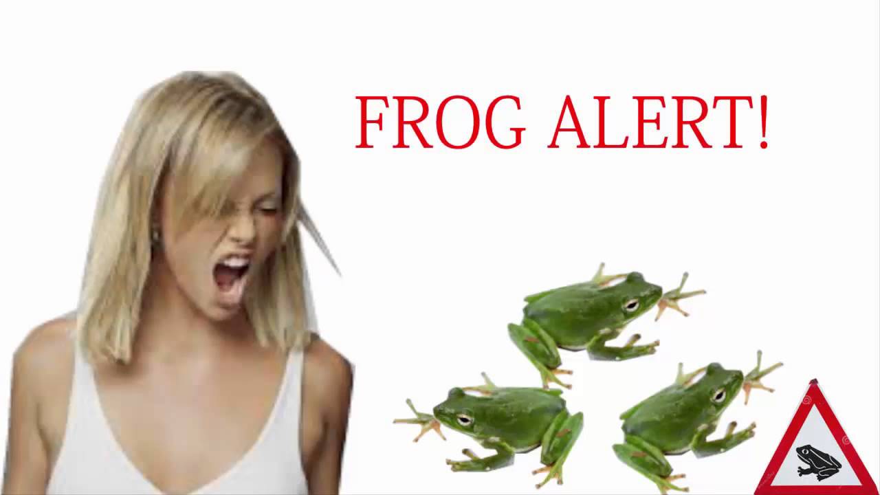 Frog Alert!!!! Remix - YouTube