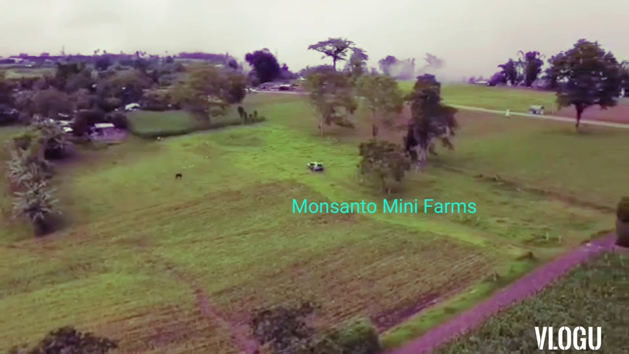 Tamboboan Claveria Mis. Or. Mini farm - YouTube